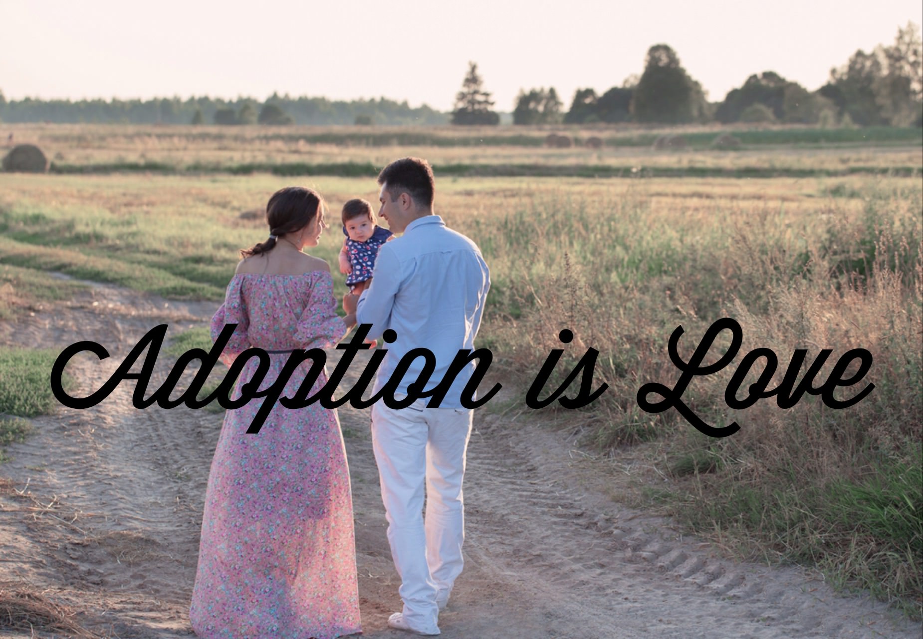 Inspiring Adoption News