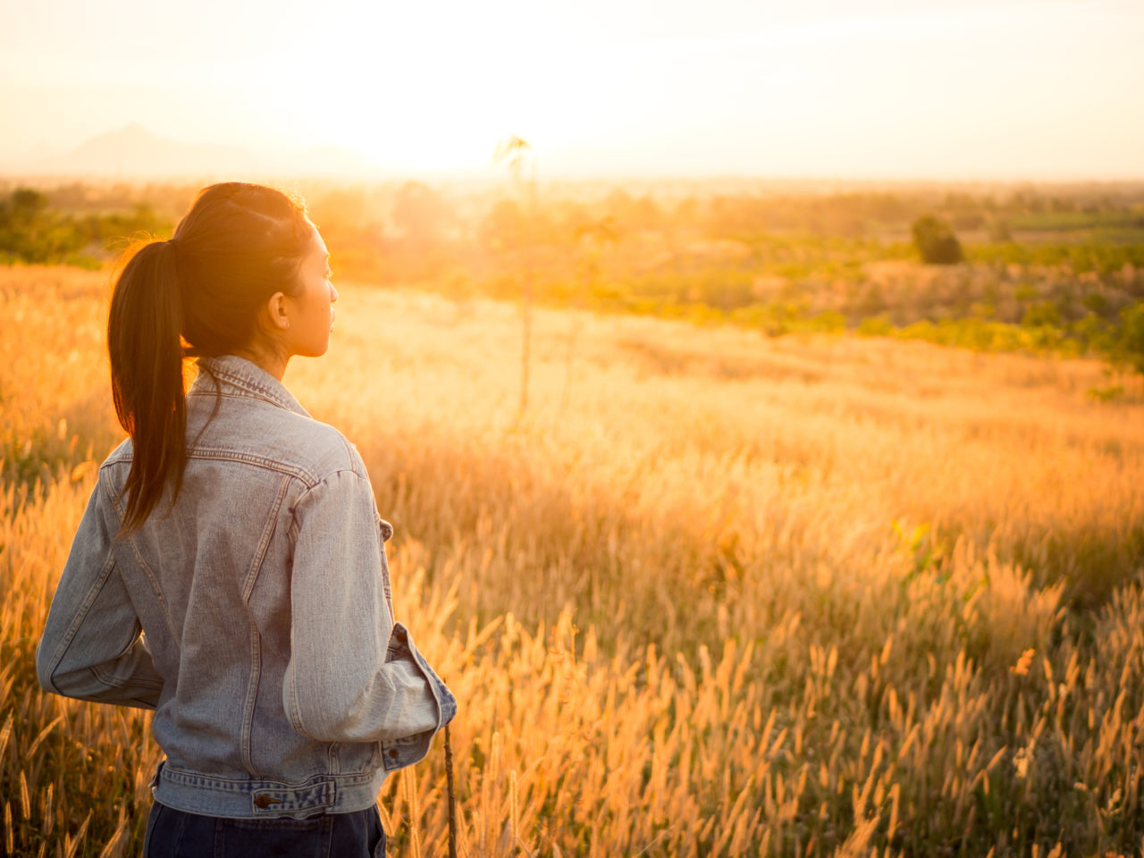 Identifying Adoption Scams